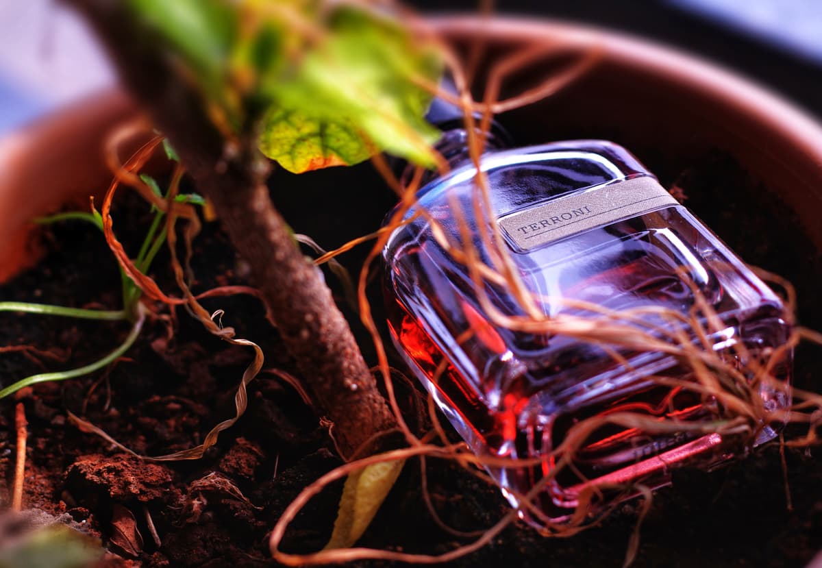 Terroni Orto Parisi perfume - a fragrance for women and men 2017