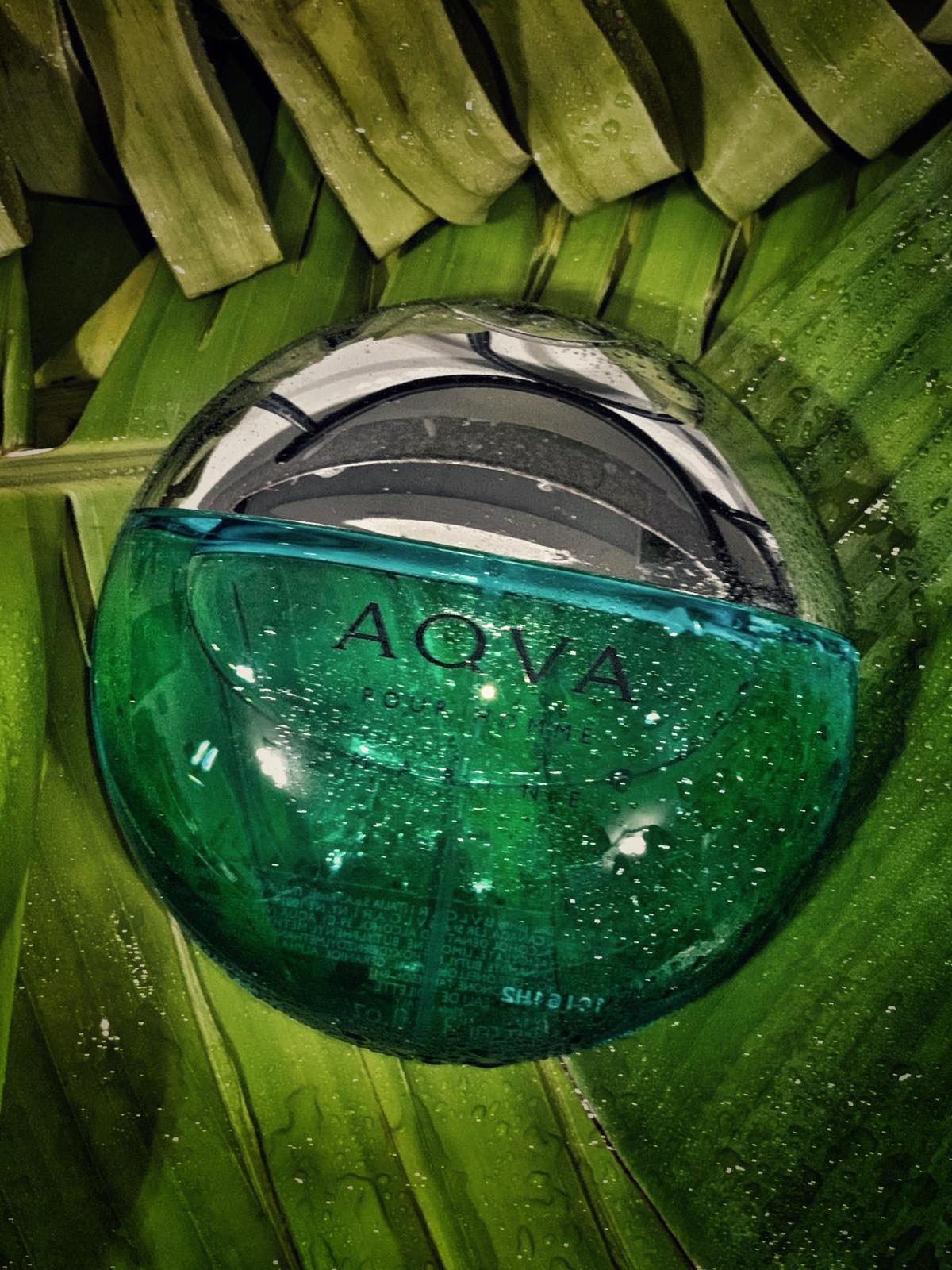 Aqva Pour Homme Marine Bvlgari cologne - a fragrance for men 2008